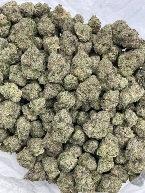 Jokerz Candy Strain UK | High THC Cannabis Weed Flowers - Dank THC ...